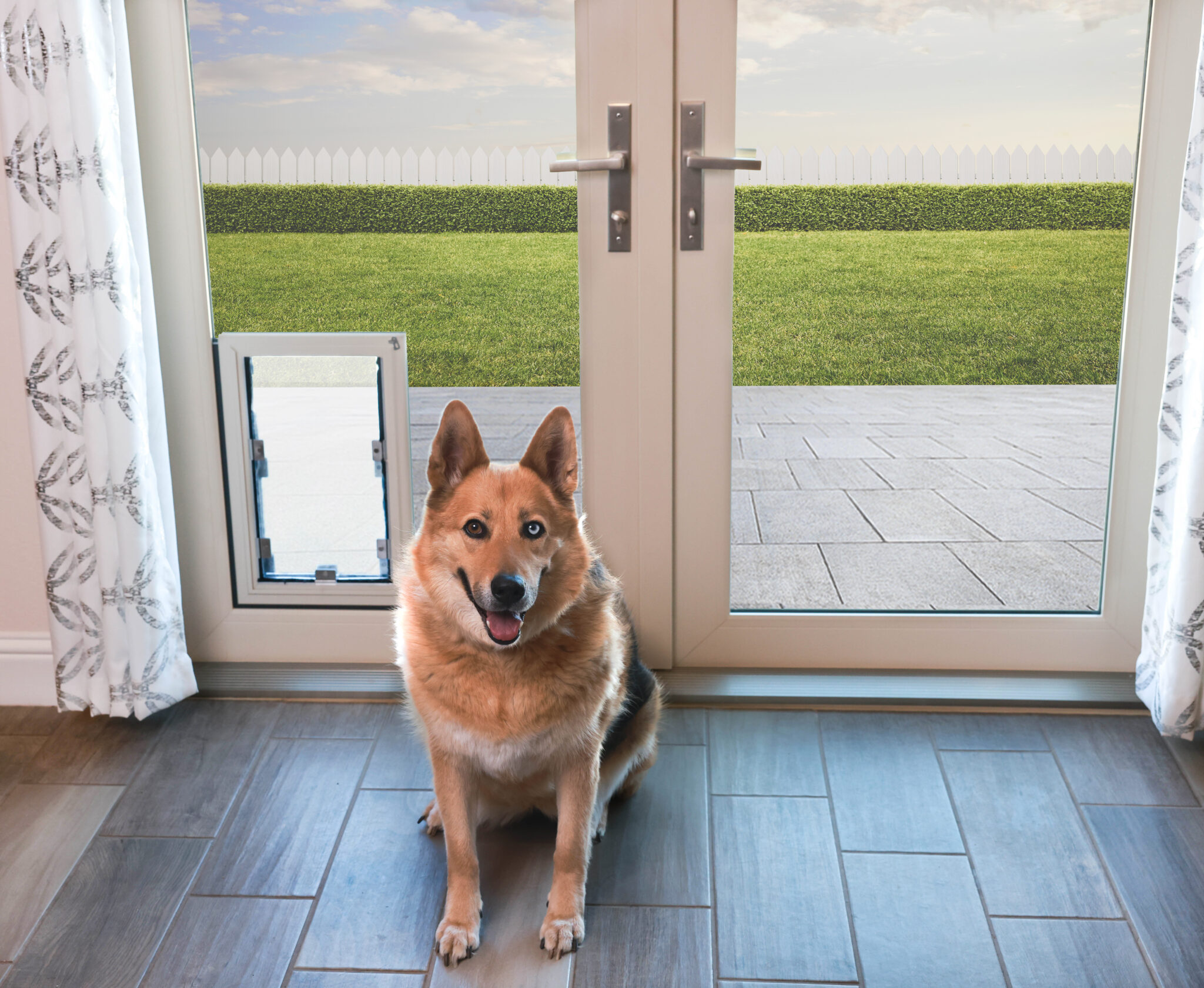 Anlin Pet Doors | In-Glass Pet Door | Anlin Windows & Doors